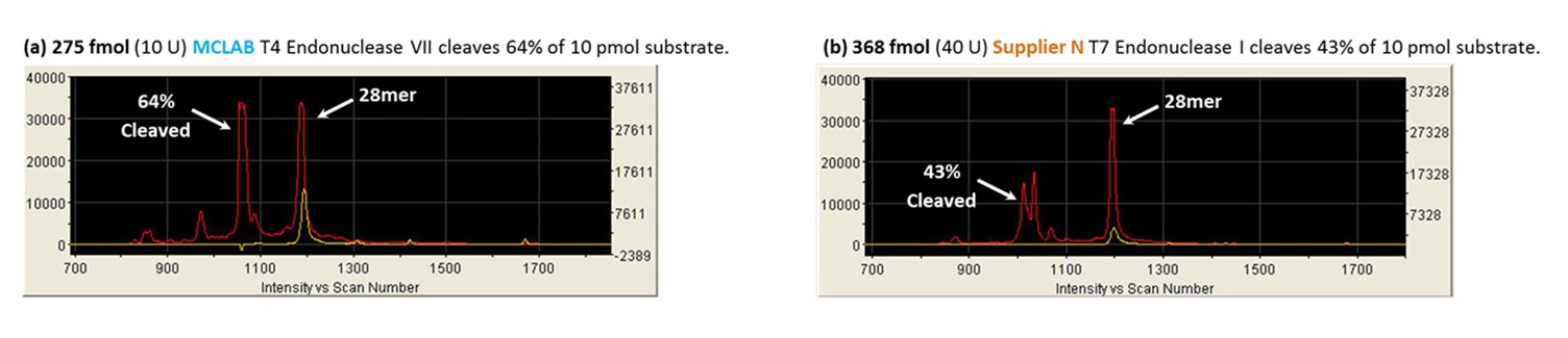 T4 Endonuclease VII – Molecular Cloning Laboratories (MCLAB)